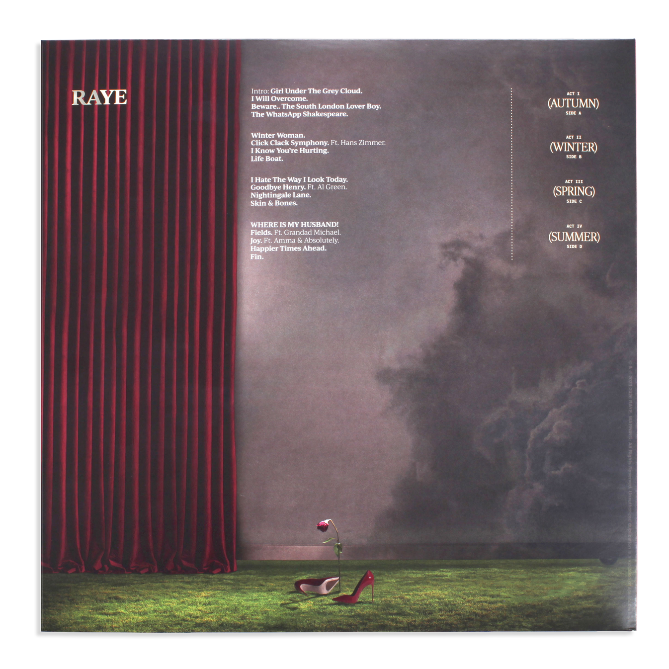 This Music May Contain Hope | Double Vinyl | Raye US | Official Store